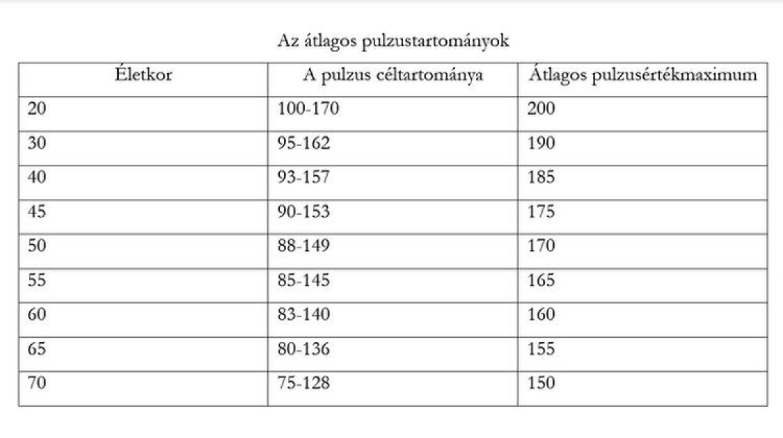 A magas pulzus súlyos betegségeket jelezhet | Házipatika
